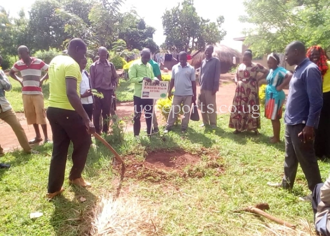 Buliisa farmers receive 2,000 tree seedlings – UG Reports News