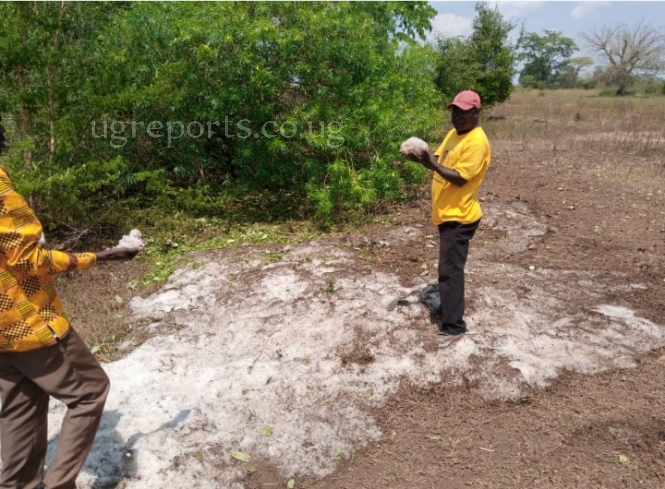 Hunger looms as hailstorms devastate Katakwi – UG Reports News