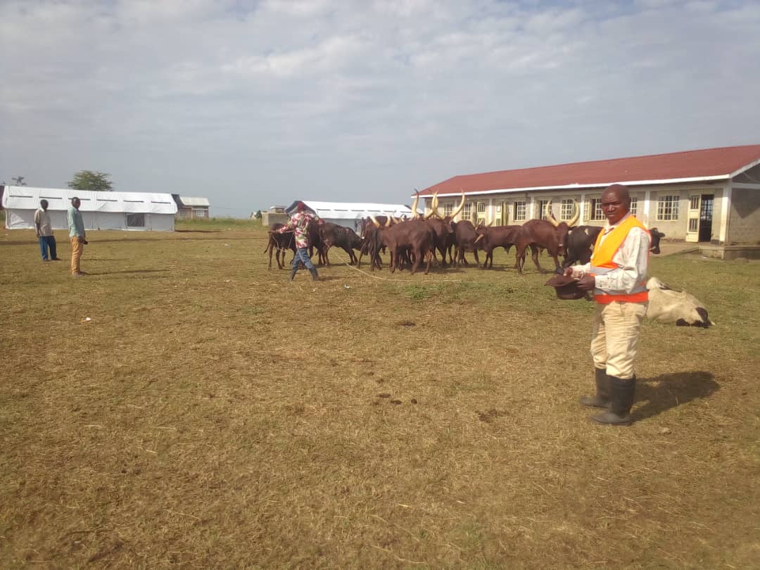 President Museveni fulfills 20-cow pledge to Bulambuli landslide ...