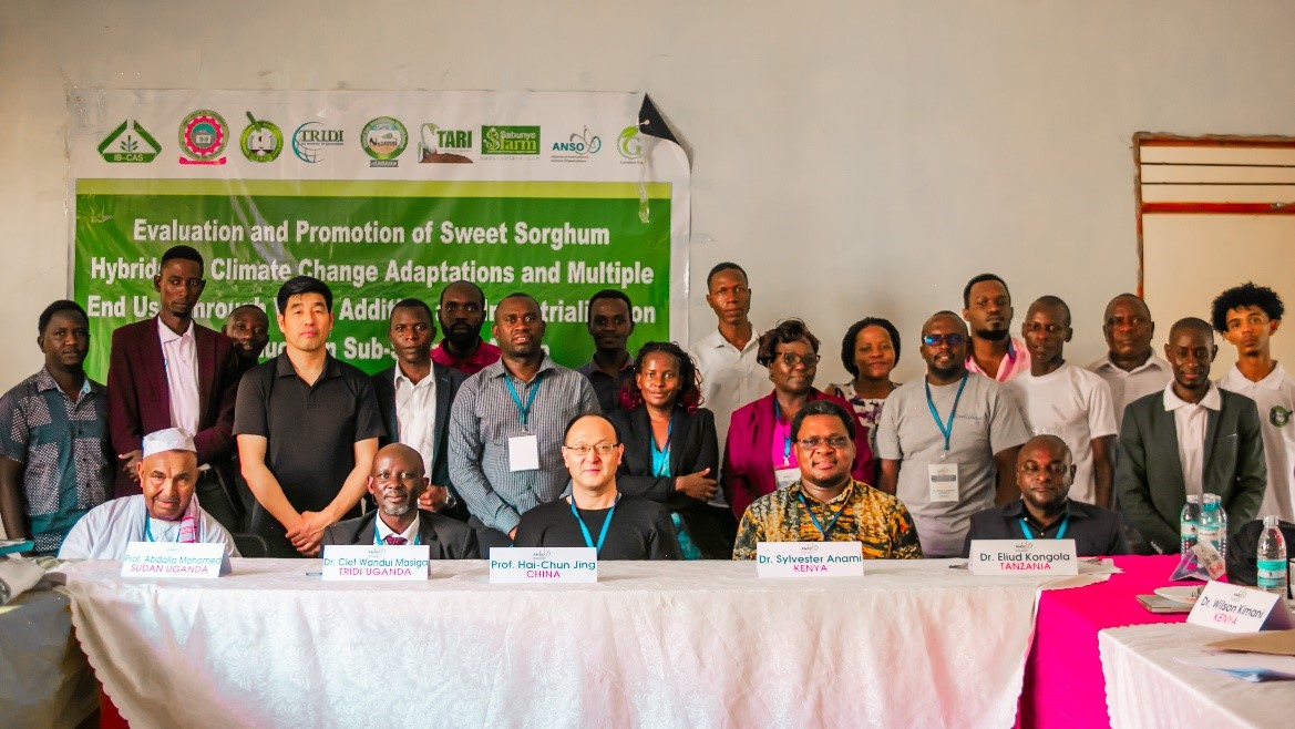 TRIDI Hosts year one review meeting for sweet sorghum hybrids climate ...