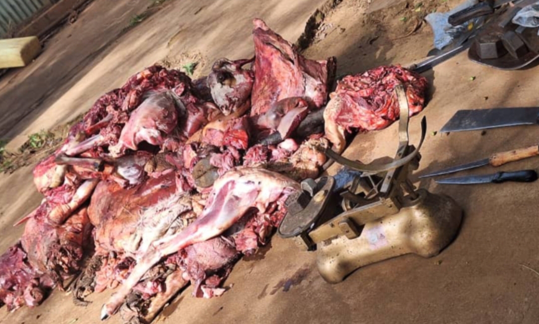 Four suspects detained in Nebbi over quarantine breach – UG Reports News